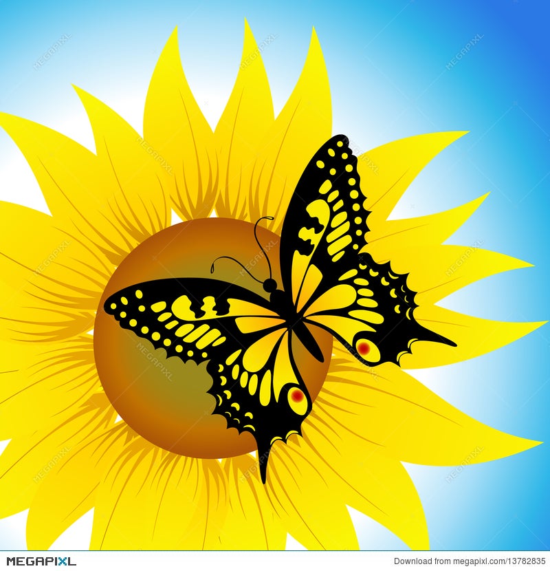 Butterfly Resting On Flower Clip Art