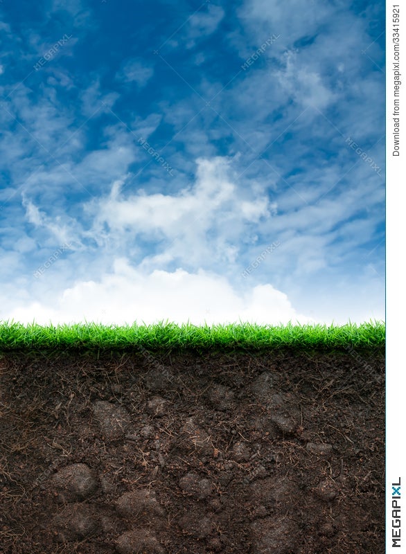 Soil And Grass Background