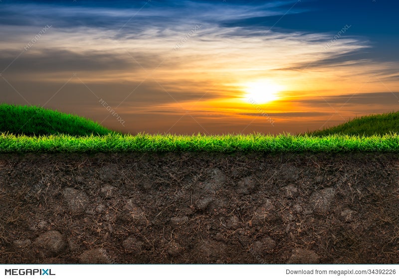 Soil And Grass In Sunset Background Stock Photo 34392226 - Megapixl