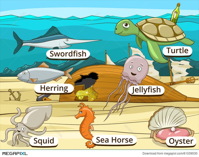 Sea Animals With Names