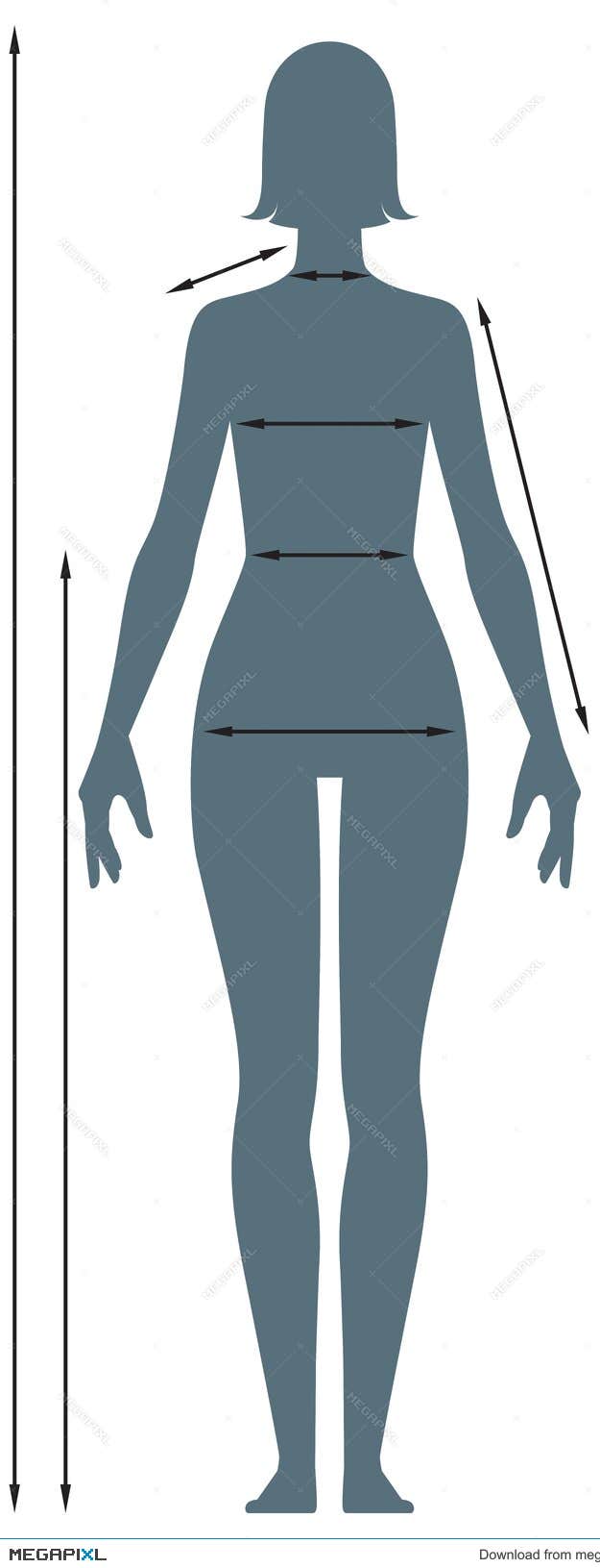 Female Body Full Length Measuring Size Figure Clipart And Illustrations