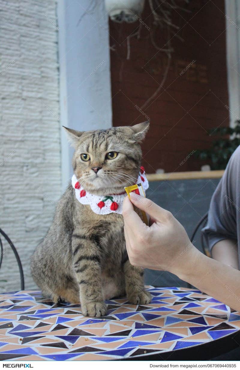 Reacting To Memes Memes Stock Photos by Megapixl