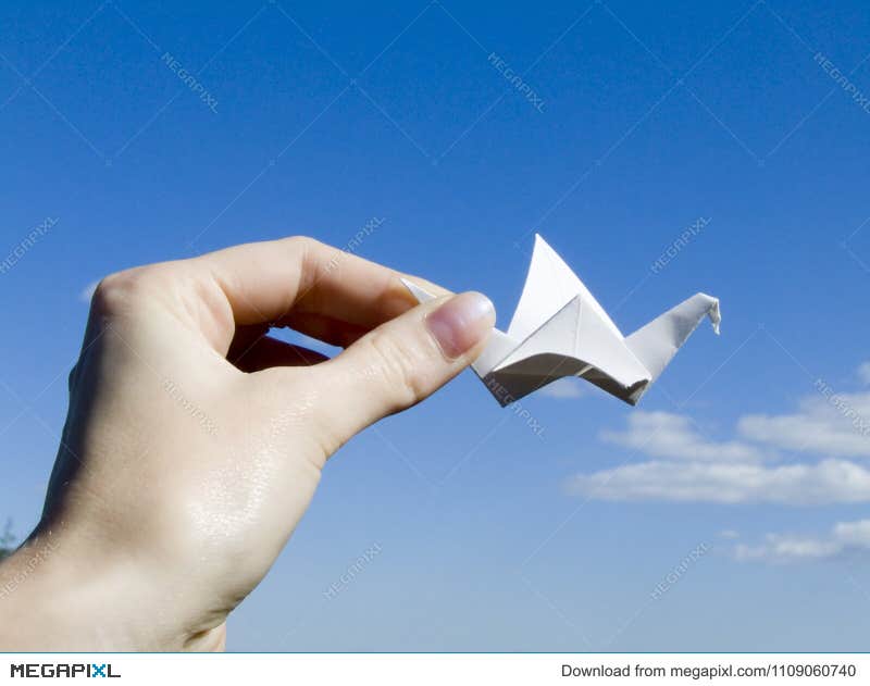 How To Create My Stock Photos by Megapixl