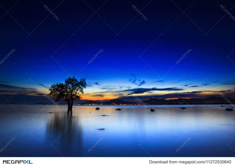 How To Get Your Background Stock Photos by Megapixl