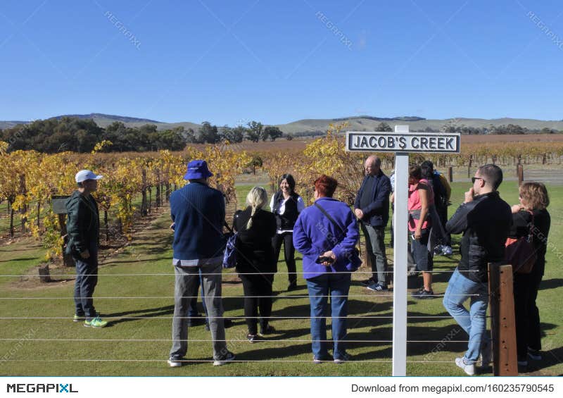 South Australian Wine Group Stock Photos by Megapixl