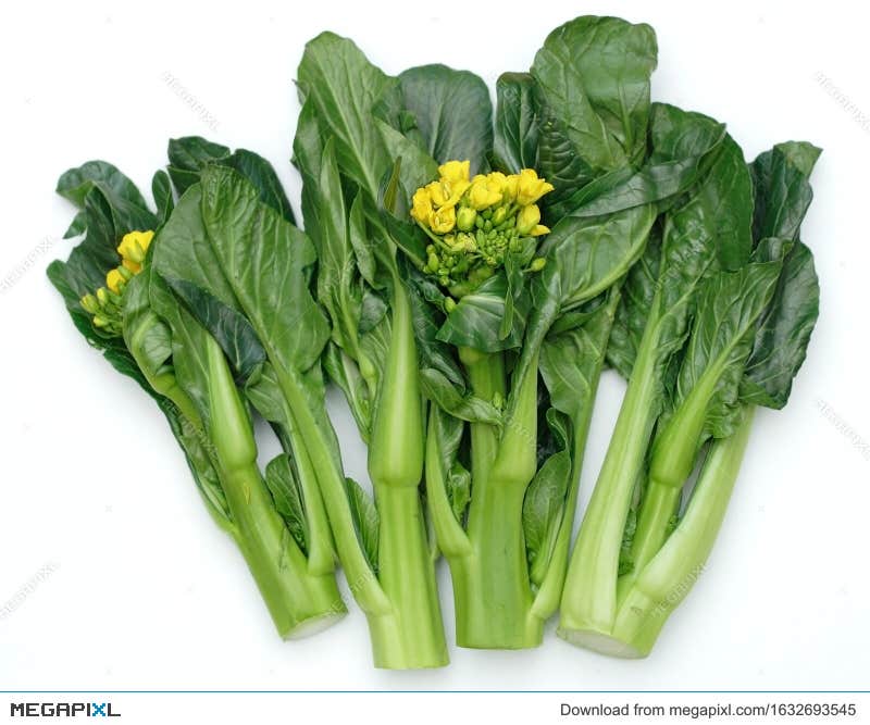 Chinese Vegetable Chye Sim Stock Images by Megapixl