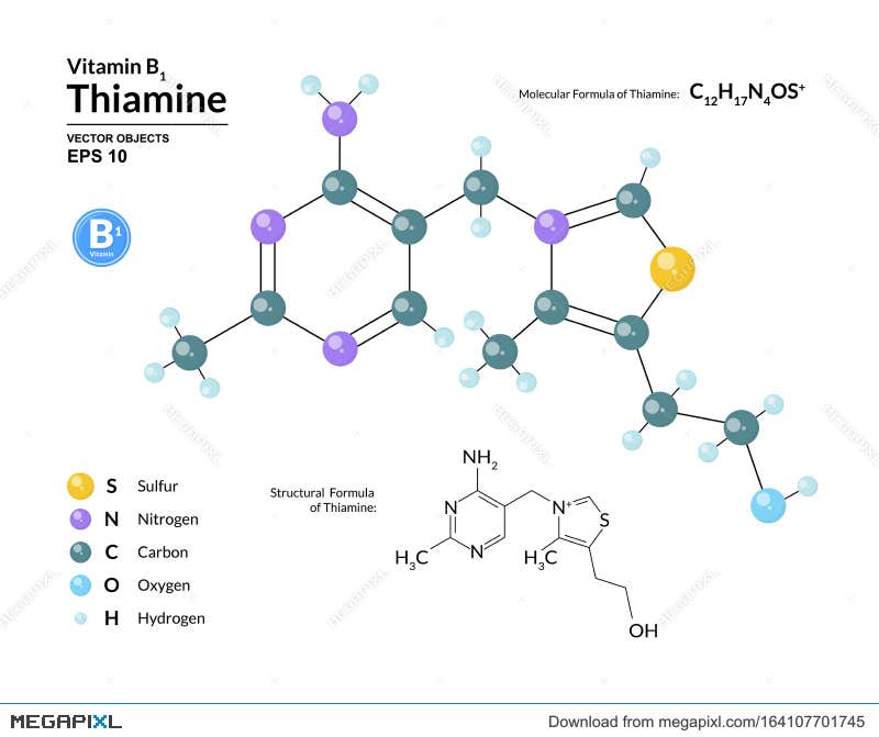 Structural Chemical Molecular Formula Model Thiamine Atoms Represented ...