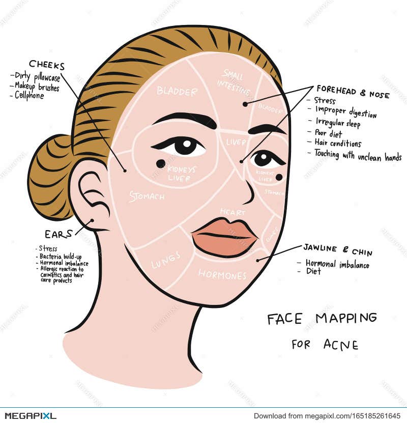 Caremen Clipart And Illustrations