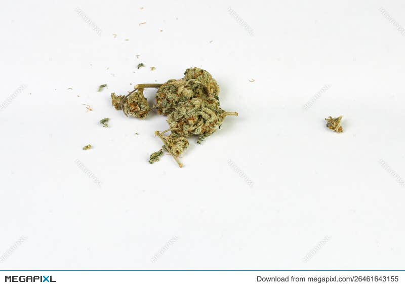 Marijuana Nugget Stock Photos by Megapixl