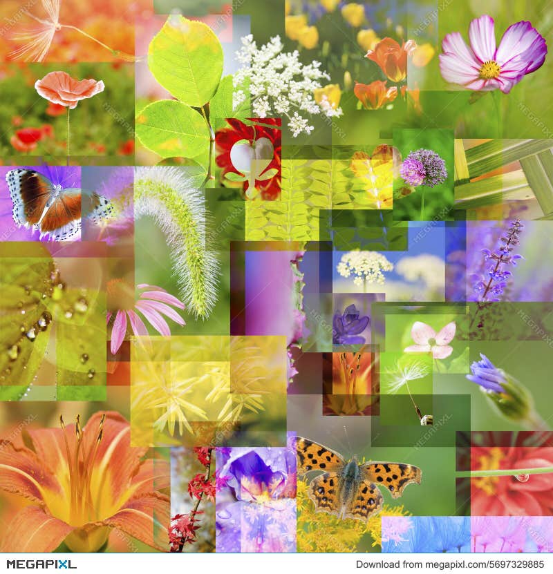 Clipart And Illustrations by Anna Diederich (Amdiederich) | Megapixl