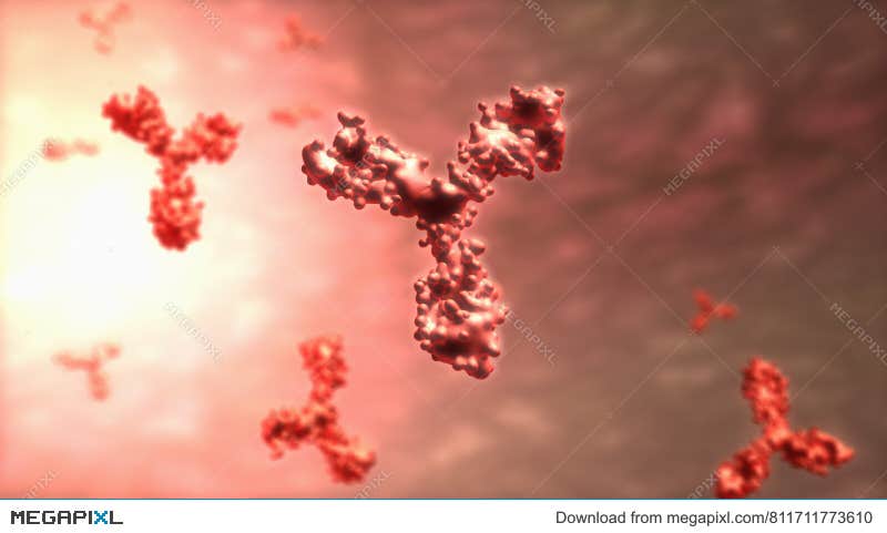 3D Animation Computer Hd 4K T Helper Tcell Antibody Microscopic ...