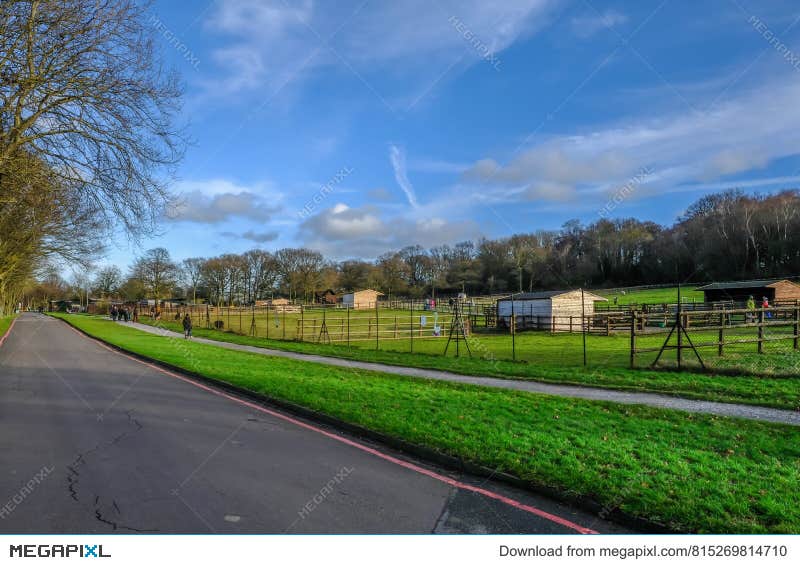 Hainault Country Park Farm Stock Images by Megapixl
