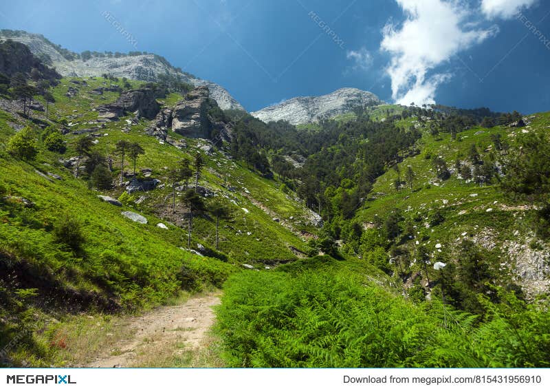 Mount Ipsarion Thassos Stock Images by Megapixl