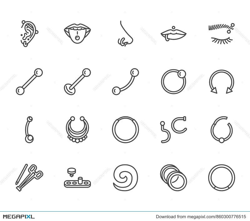 Labret Clipart And Illustrations