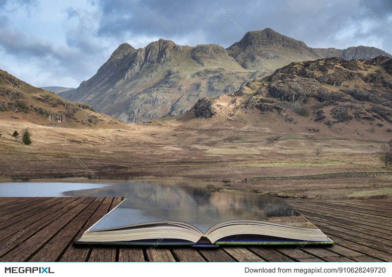 Wiln Clipart And Illustrations