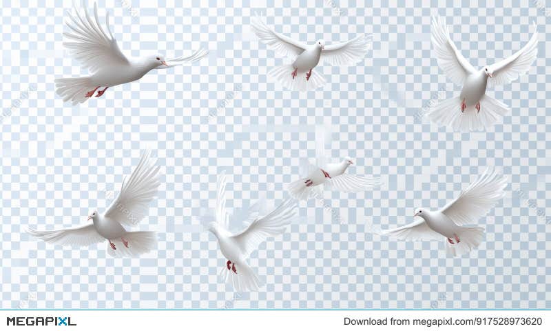Illustration Png Free Stock Photos by Megapixl