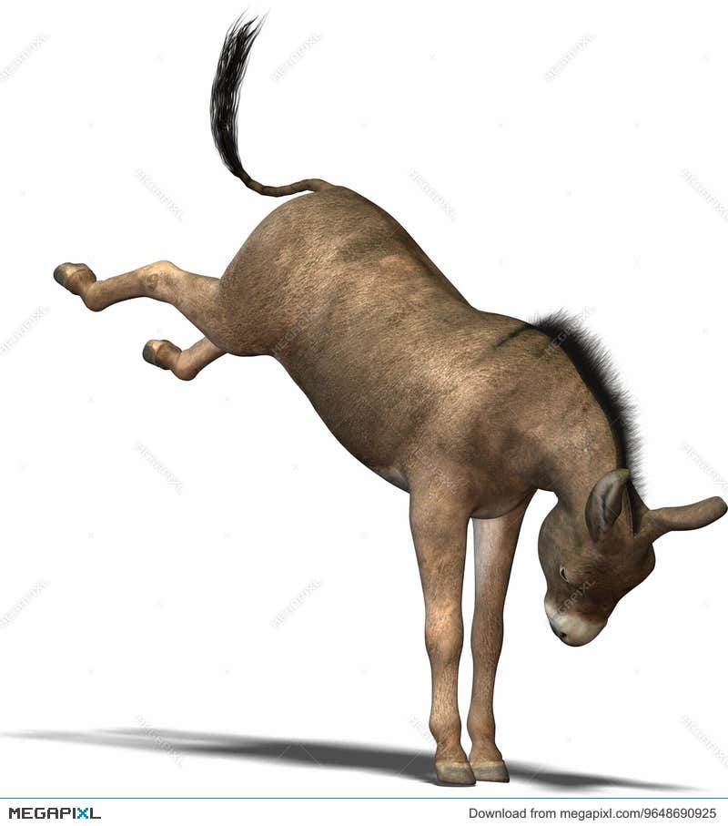 Muli Clipart And Illustrations