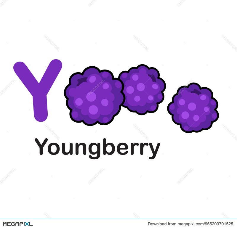 Youngberry Clipart And Illustrations