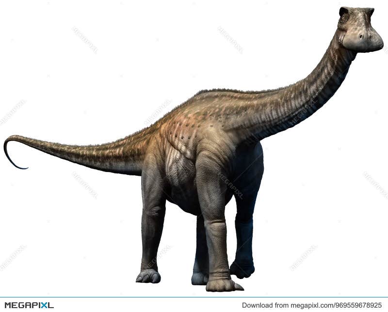 Nigersaurus Clipart And Illustrations