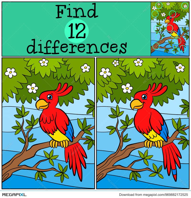 Find Differences Parrot Clipart And Illustrations